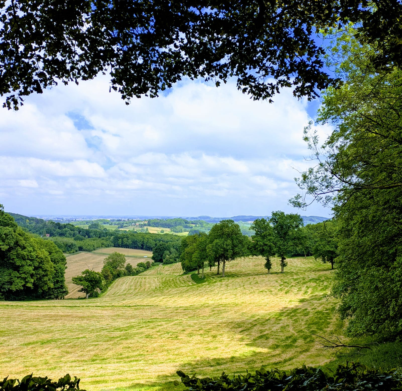 LE SENTIER DE BERTHEN par Aline KEIREL et Christian LARANGE