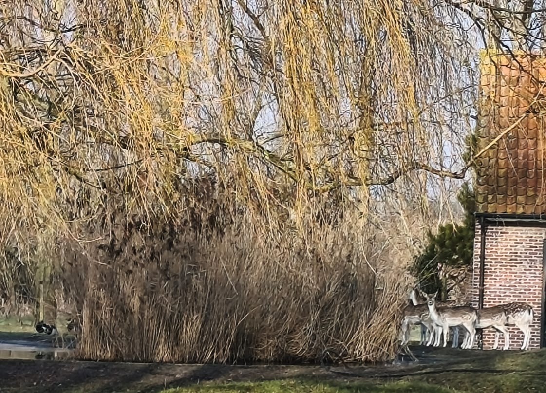 NIEUWPOORT au départ de OOSTDUINKERKE par Patrick MAGNIER