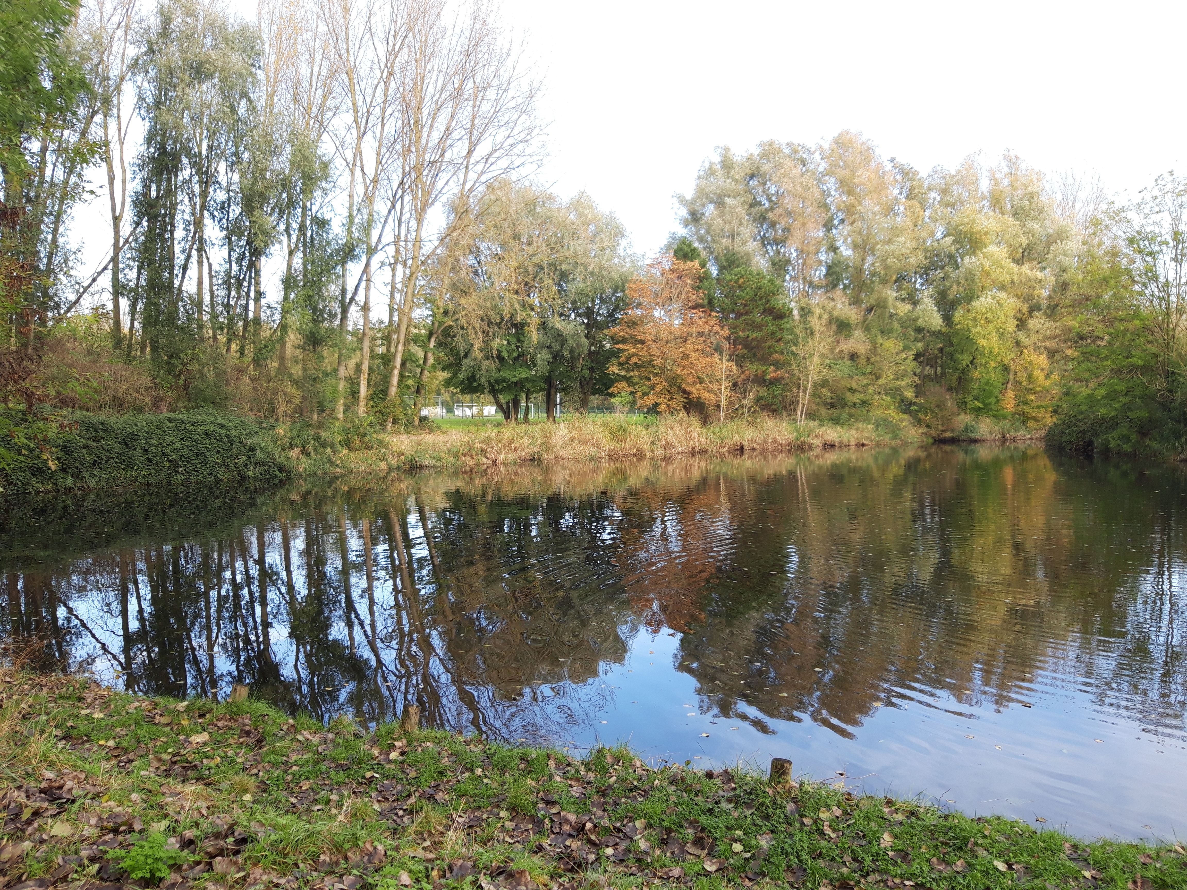 Balade dans les bois