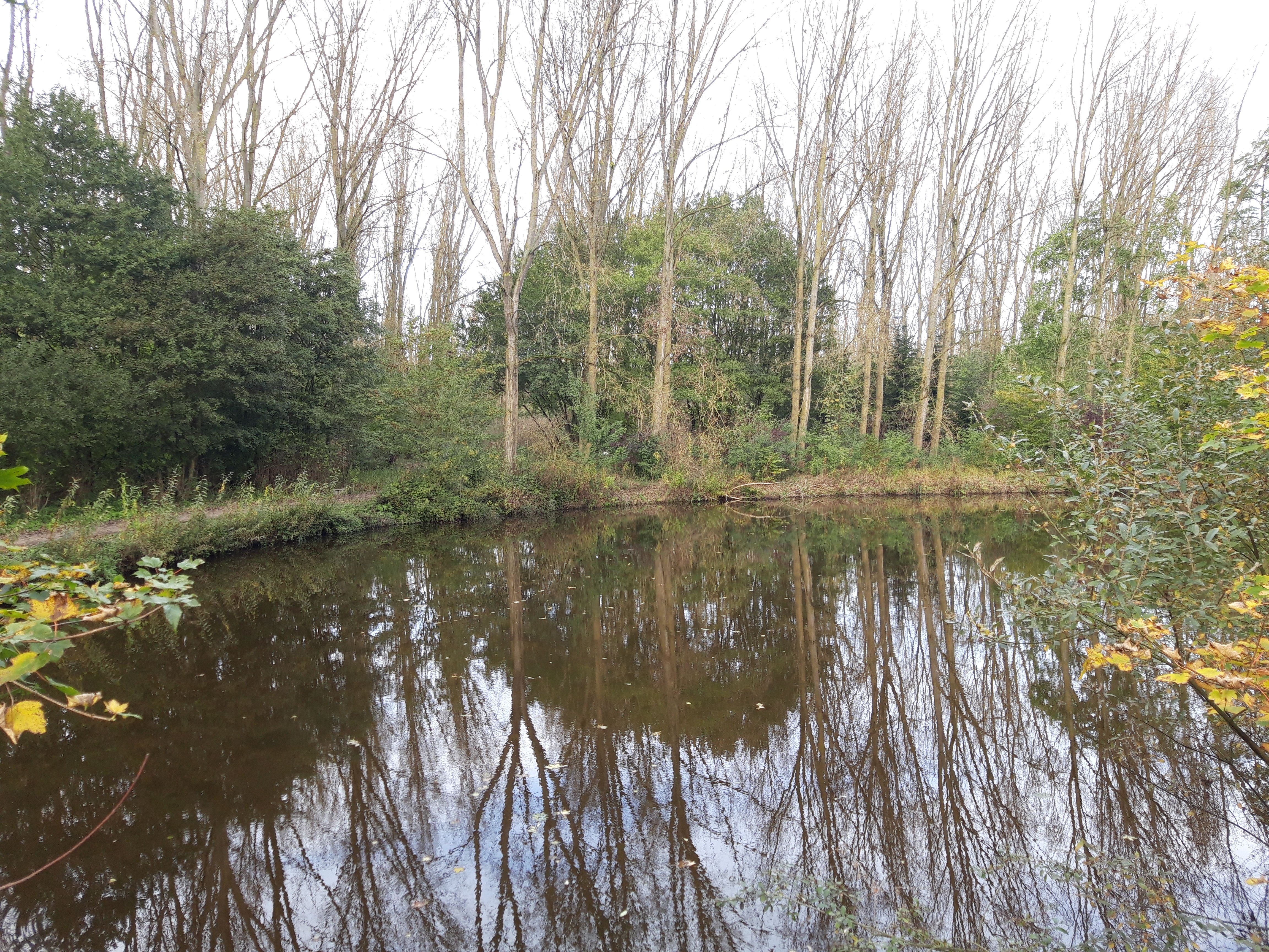 Balade dans les bois