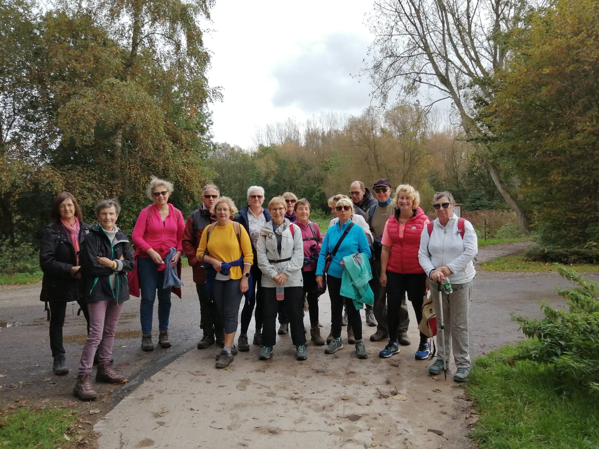 Balade dans les bois